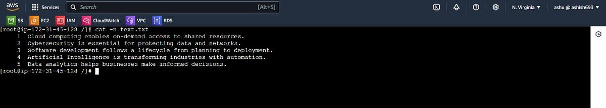 Day 3 #90DaysOfDevOpsChallenge: Basic Linux Commands | by Ashish Balasaheb Patil | Oct, 2024 ...