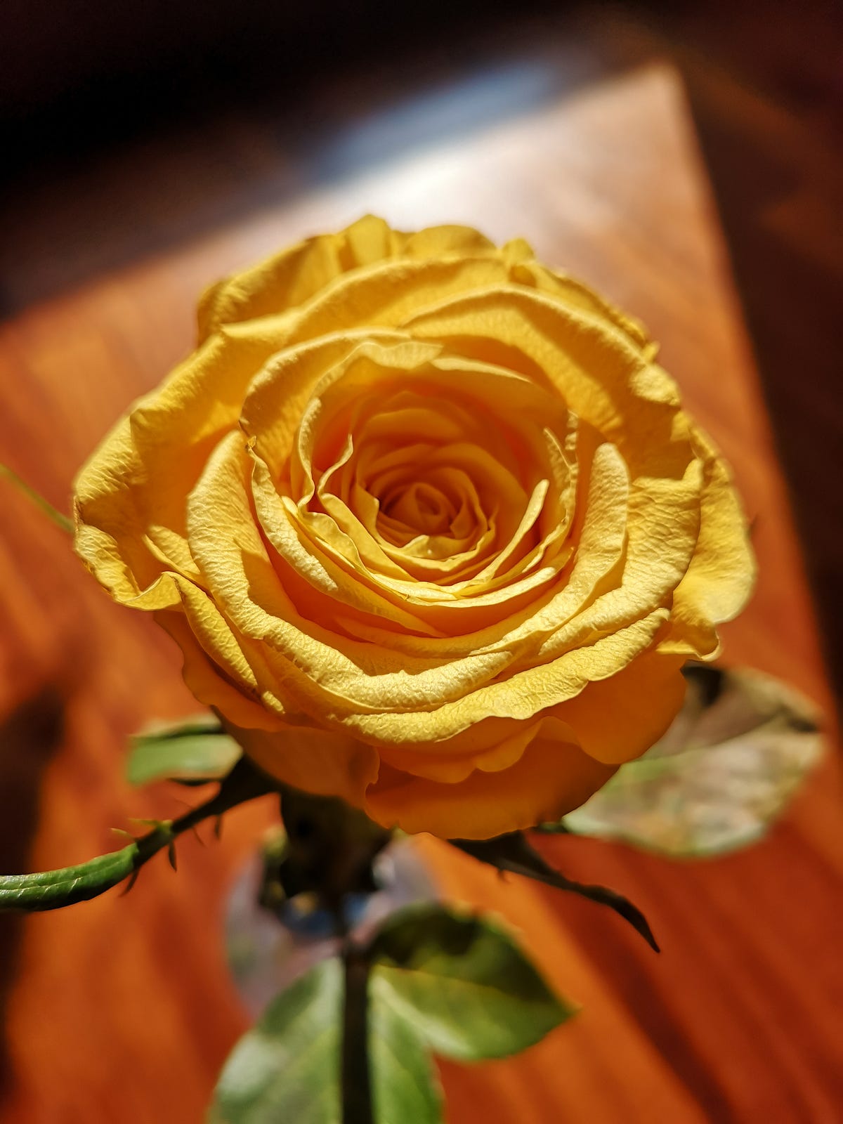 Yes I am single and still happy.3 tips on how you too can be! | by k ...
