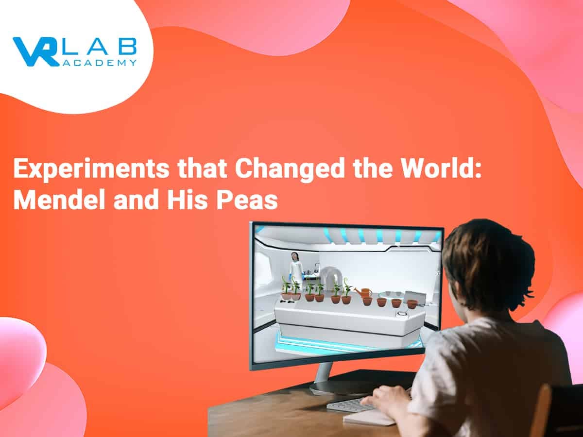 Experiments that Changed the World: Mendel and His Peas | by VRLab Academy | Medium
