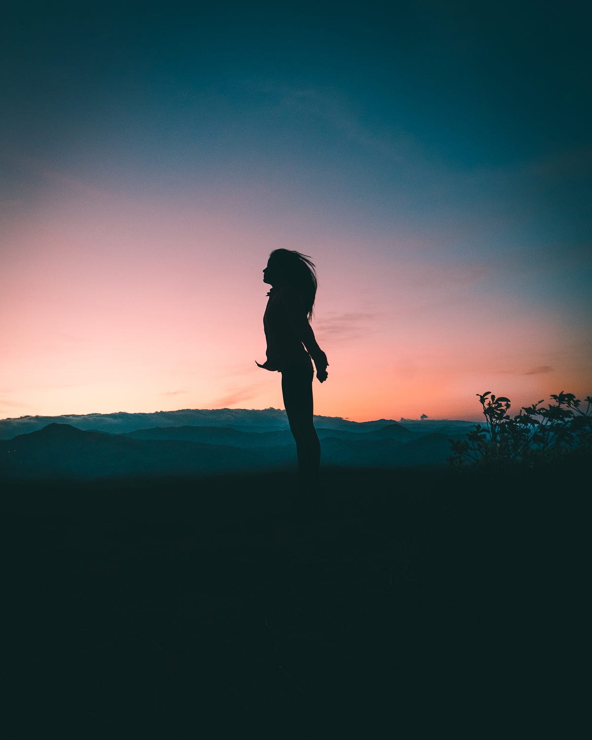 Exploring the Multifaceted Nature of SWB for Health and Happiness | An ...