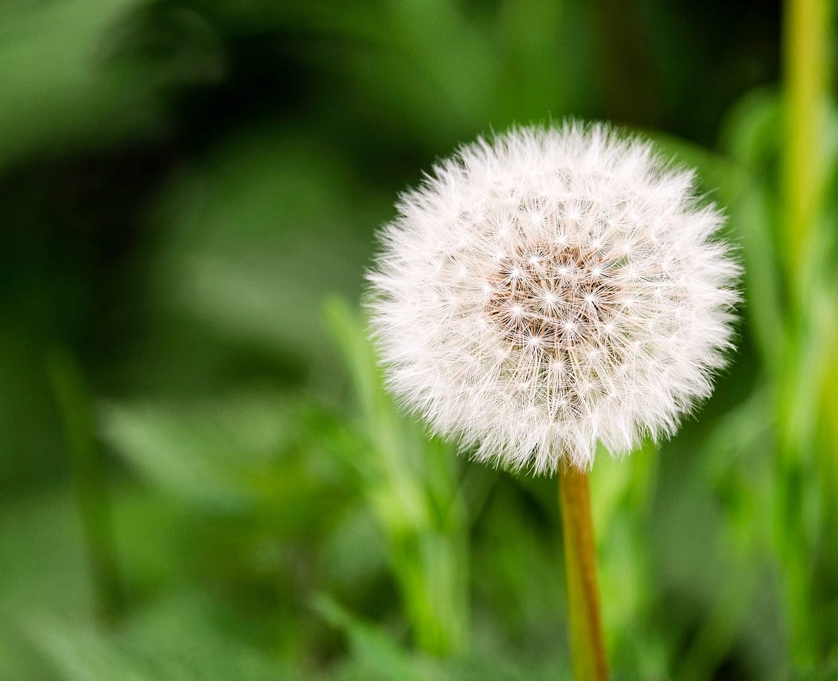 How to Use Systems Thinking for Success | by Susan Johnson ...