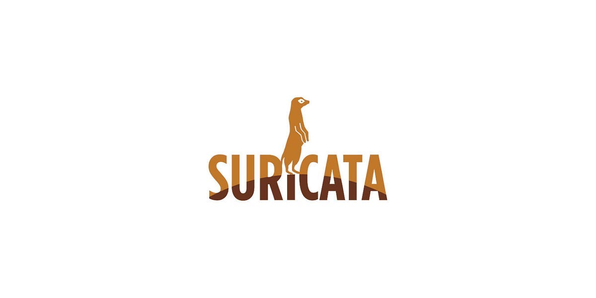 DEVELOPING SURICATA RULES FOR DETECTIING NMAP SCANS | by ...