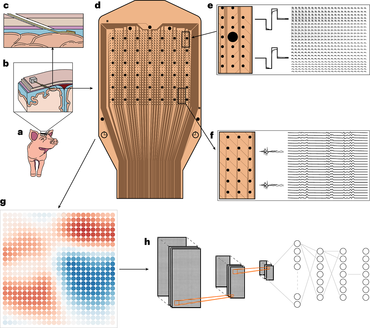Traditional high-bandwidth brain-computer interfaces require invasive ...