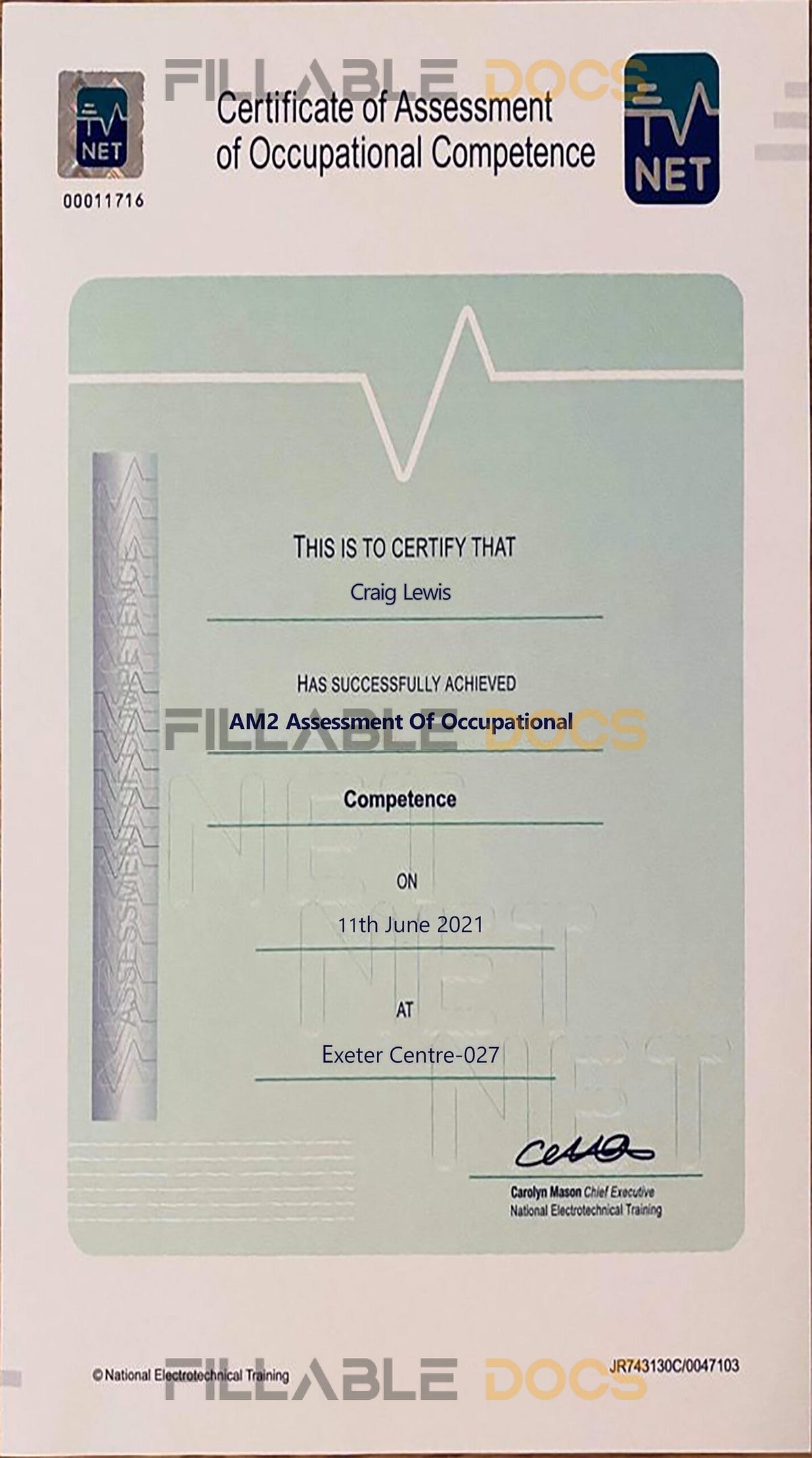 Authentic-Looking Fake certificate from AM2 Skill-based Exam ...