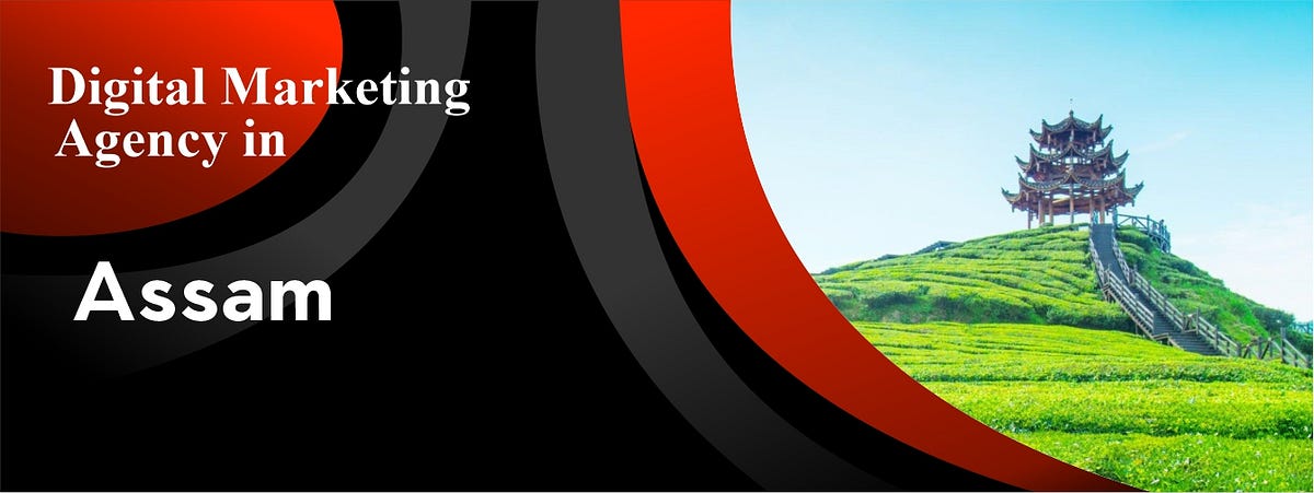 Digital Marketing Agency in Assam | by WEBIBM | Jul, 2024 | Medium