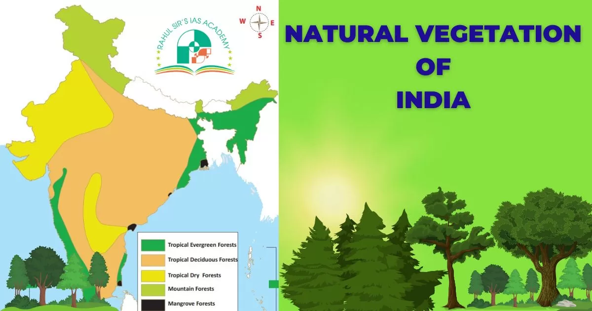Natural Vegetation Of India - Rahul Sir's IAS Academy - Medium