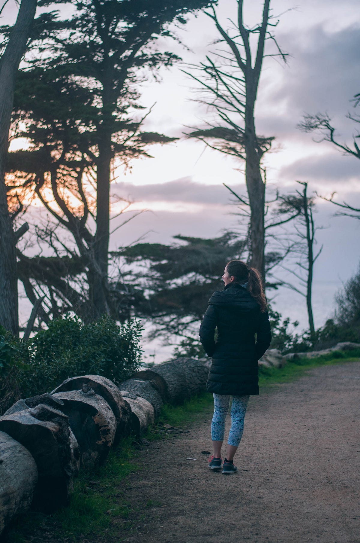 Morning Walks - Marisa Brisson - Medium