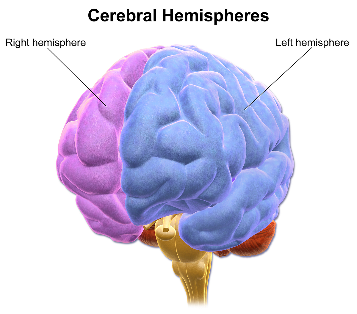 “Simulate” human brain with three independent Large Language Model(LLM ...