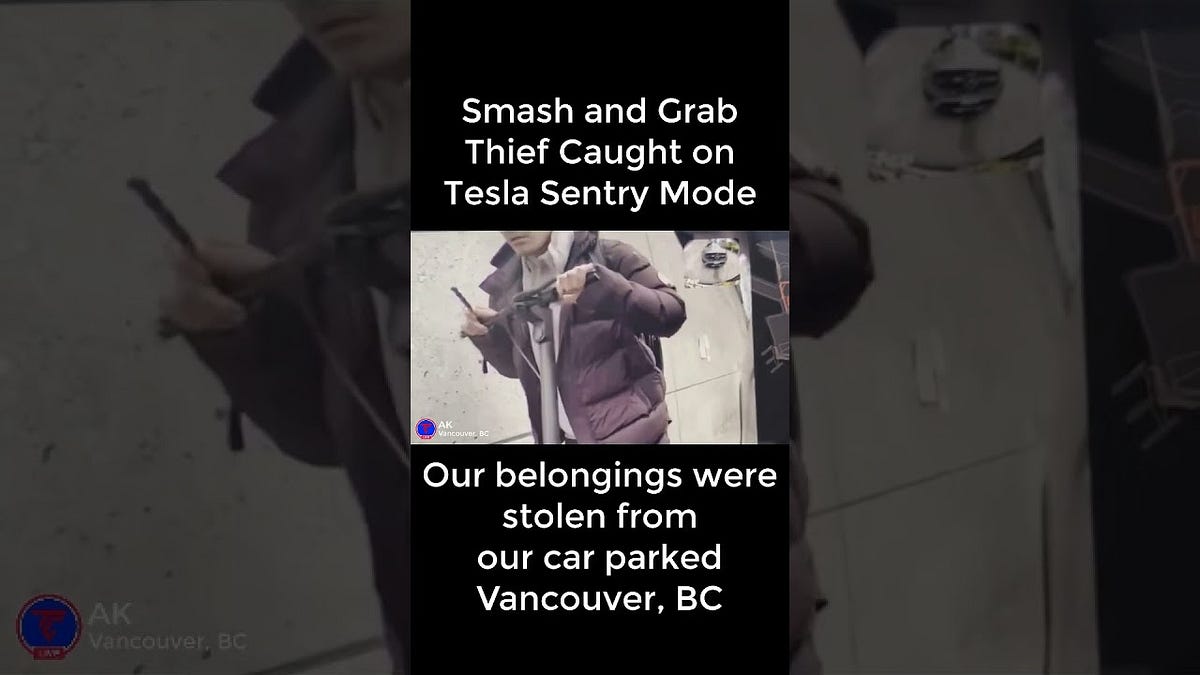 Smash and Grab Thief Caught on Tesla Sentry Mode | TeslaCam Live ...