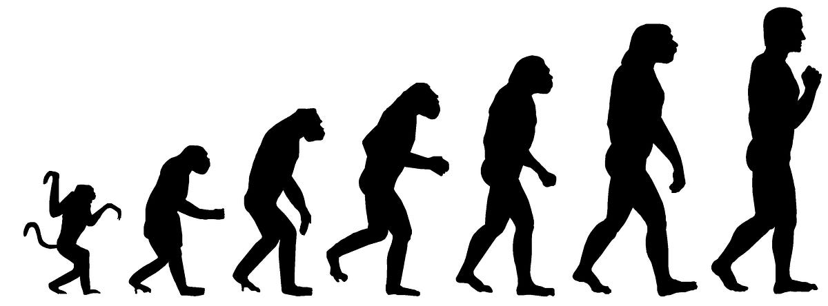 Gradient descent vs. neuroevolution | by Lars Hulstaert | TDS Archive ...