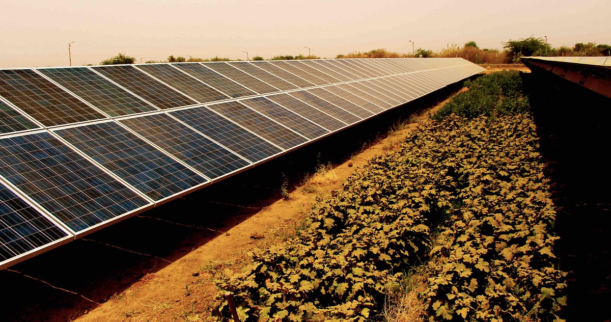 Unergy’s Agrivoltaic Projects Implementation in Colombia | by Vanguard ...