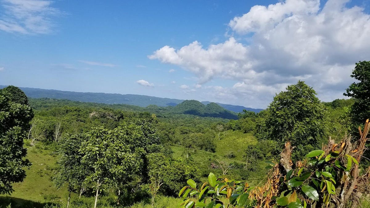 Death Comes Calling. ~a child’s first encounter with death ~ | by ...