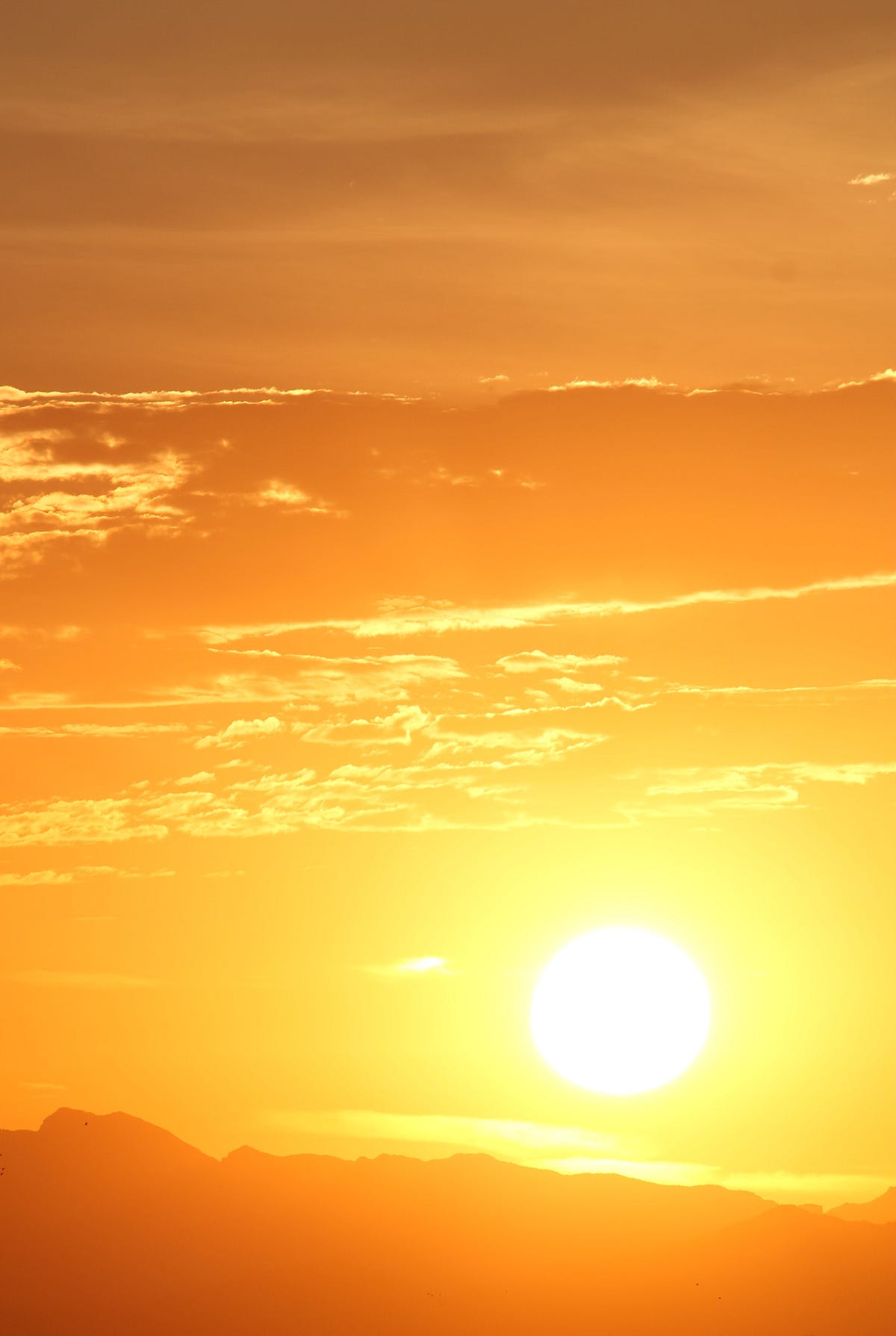 My Sunshine Poem. Sunshine, golden rays of light | by Wayne Anderson ...