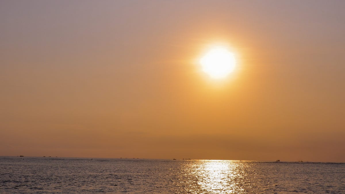 Why does the Earth not fall into the Sun? - The Daily Cuppa - Medium