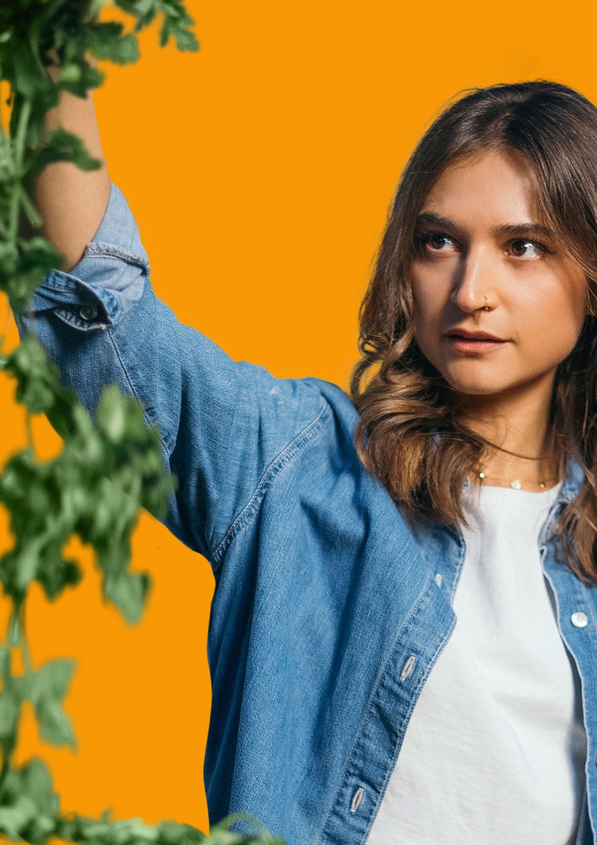 Edinburgh Fringe Feast: “My English Persian Kitchen” Will Bring ...