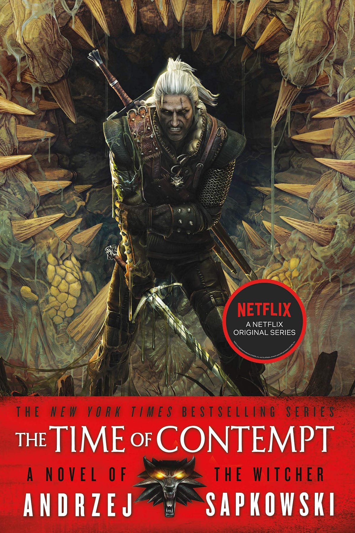 Book Review: “The Time of Contempt: A Novel of the Witcher” | by Dr. TJ ...