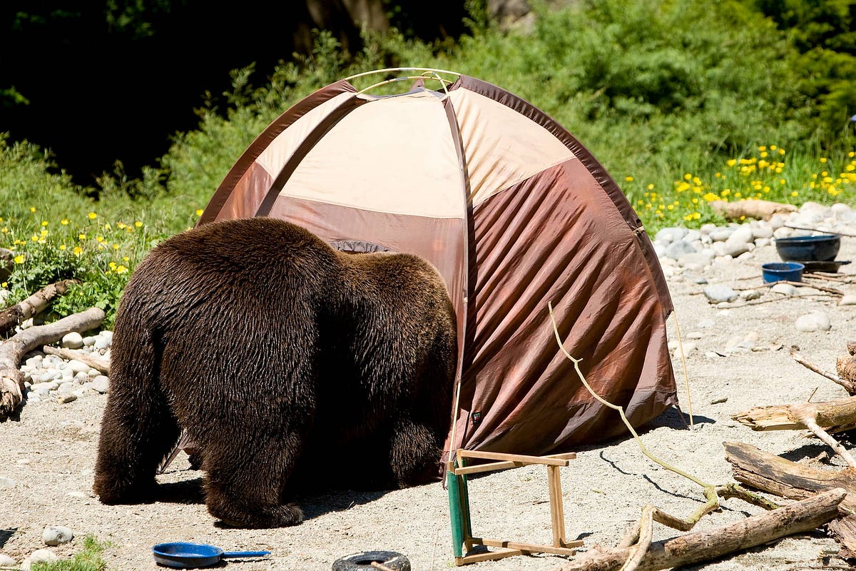 The Night Our Family Camping Trip Turned Into a Soggy Disaster (And ...