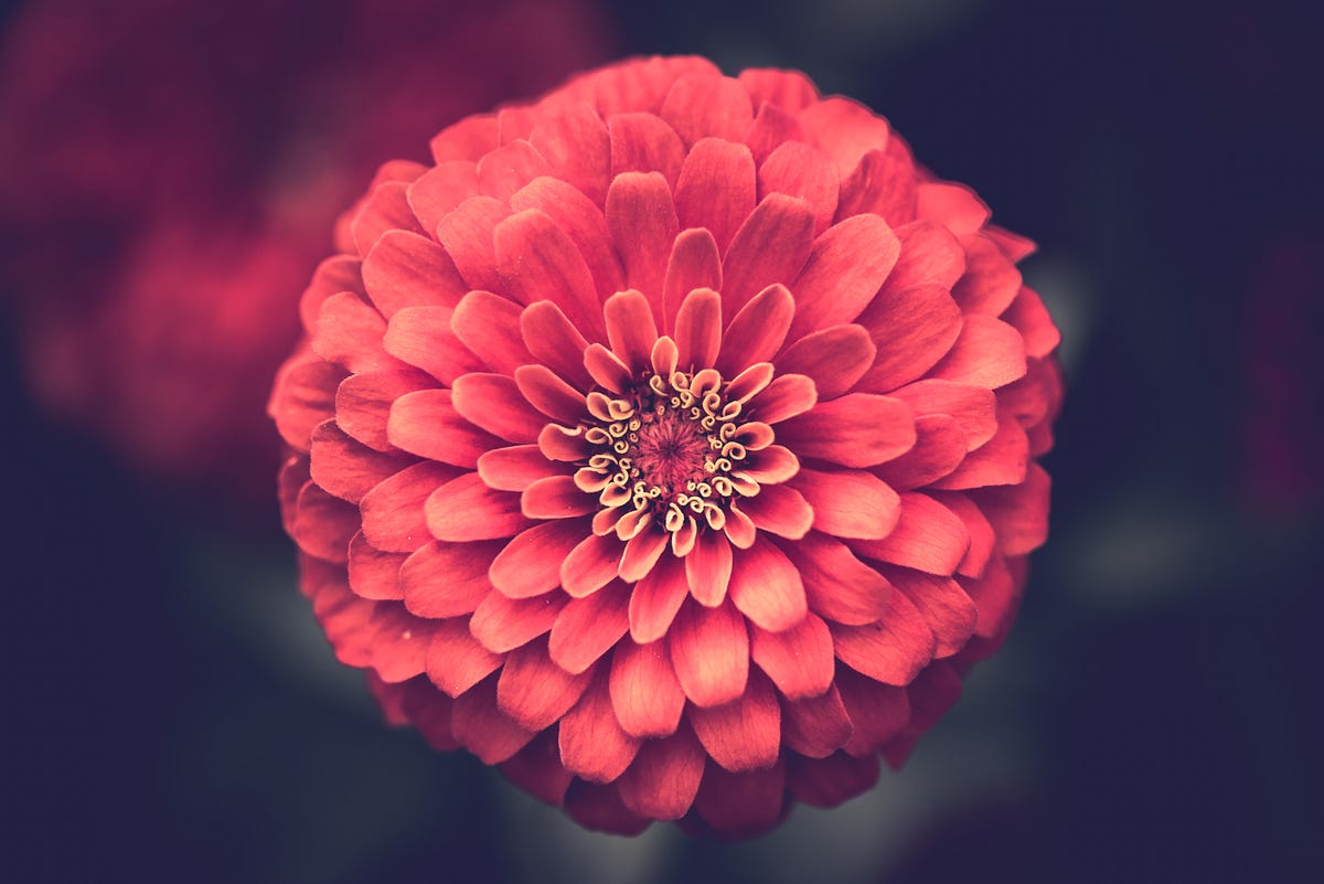 Do We Really Need to Know ‘Everything’ About Our Characters? | by ...