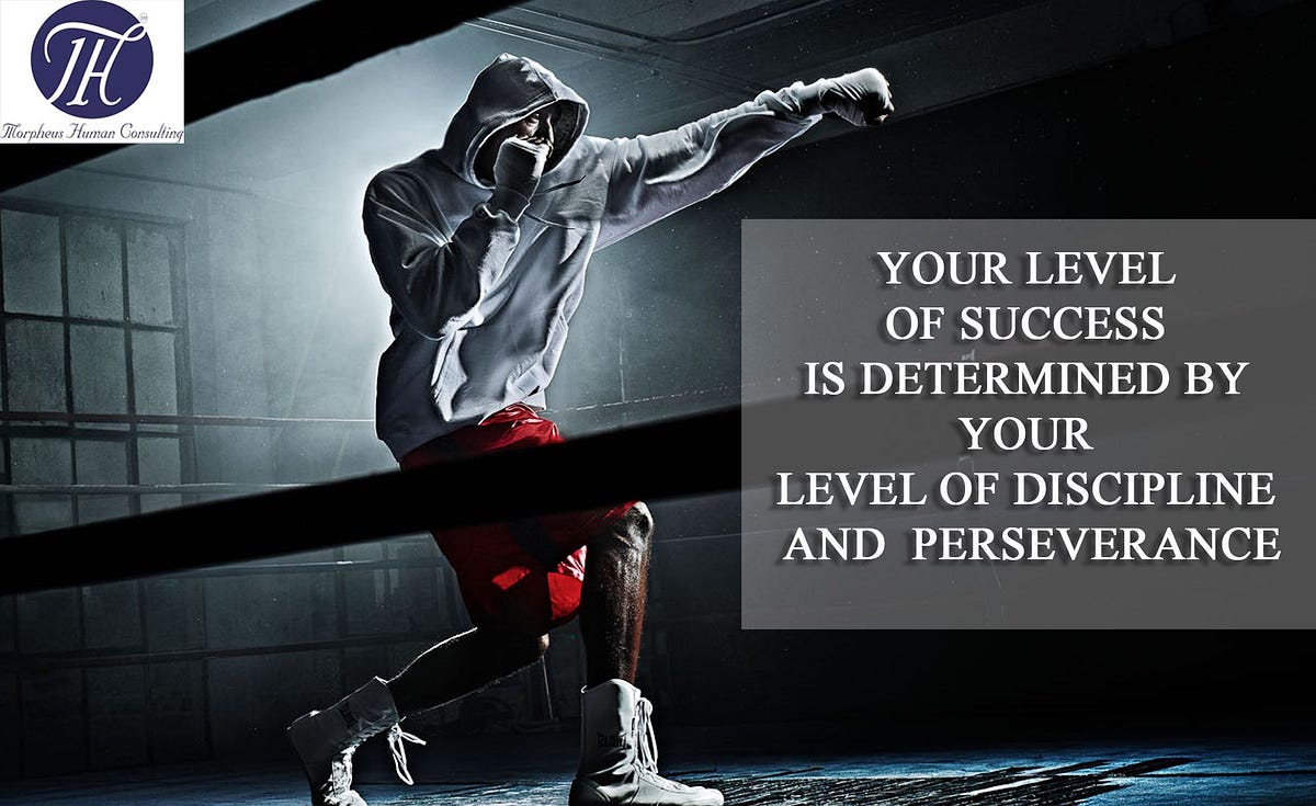 Navigating Career Triumphs: Harnessing the Power of Discipline ...