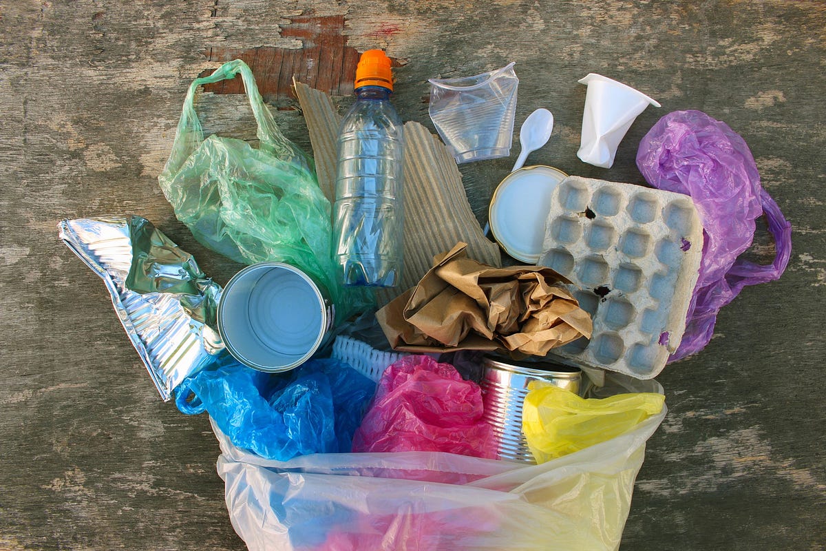 Single Use Packaging Market’s Role in Reducing Food Waste: Strategies ...