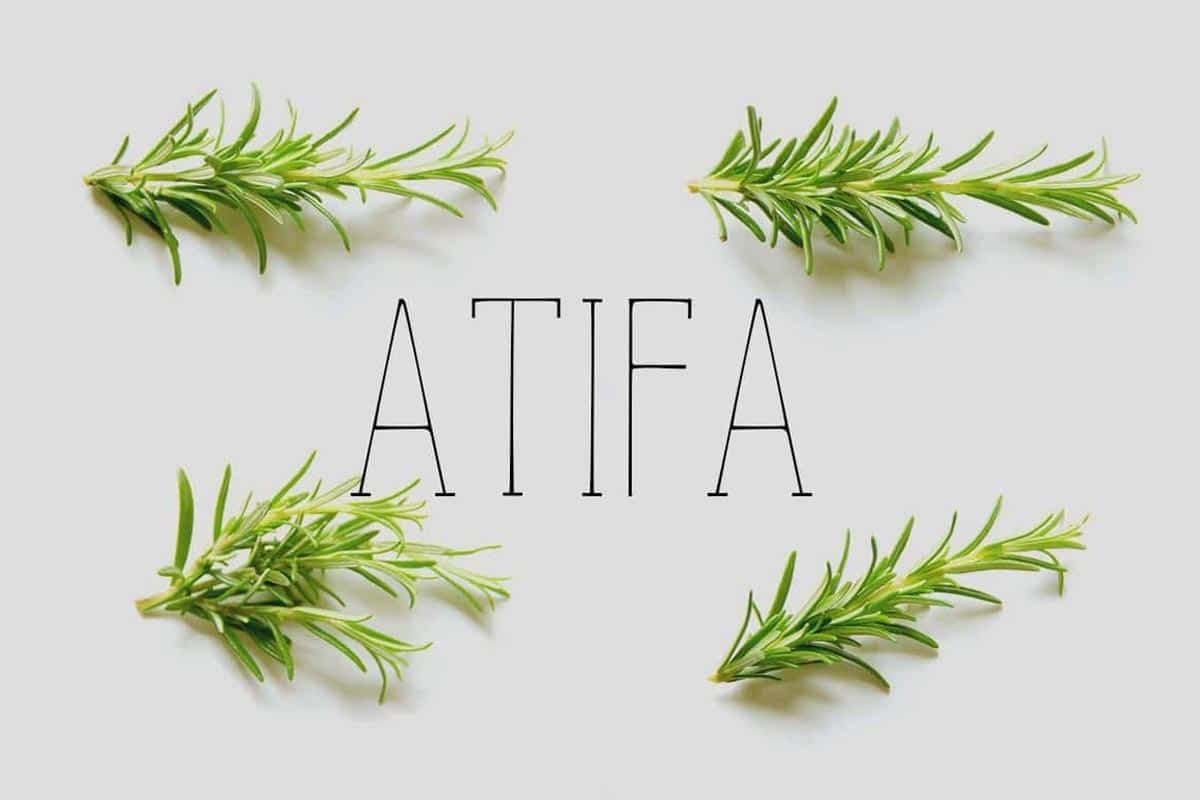 Free Atifa Serif Font. Free Atifa Serif Font is a simple and… | by ...