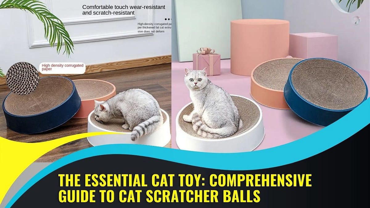 The Ultimate Guide to the Cat Scratcher Ball: Why Every Feline Needs ...