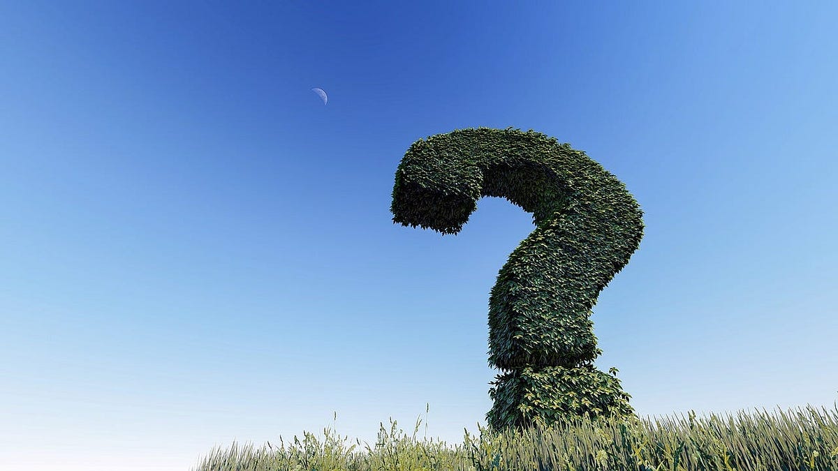 Management Lessons 20: Why is Everything | by Rohit SAROJ | Medium