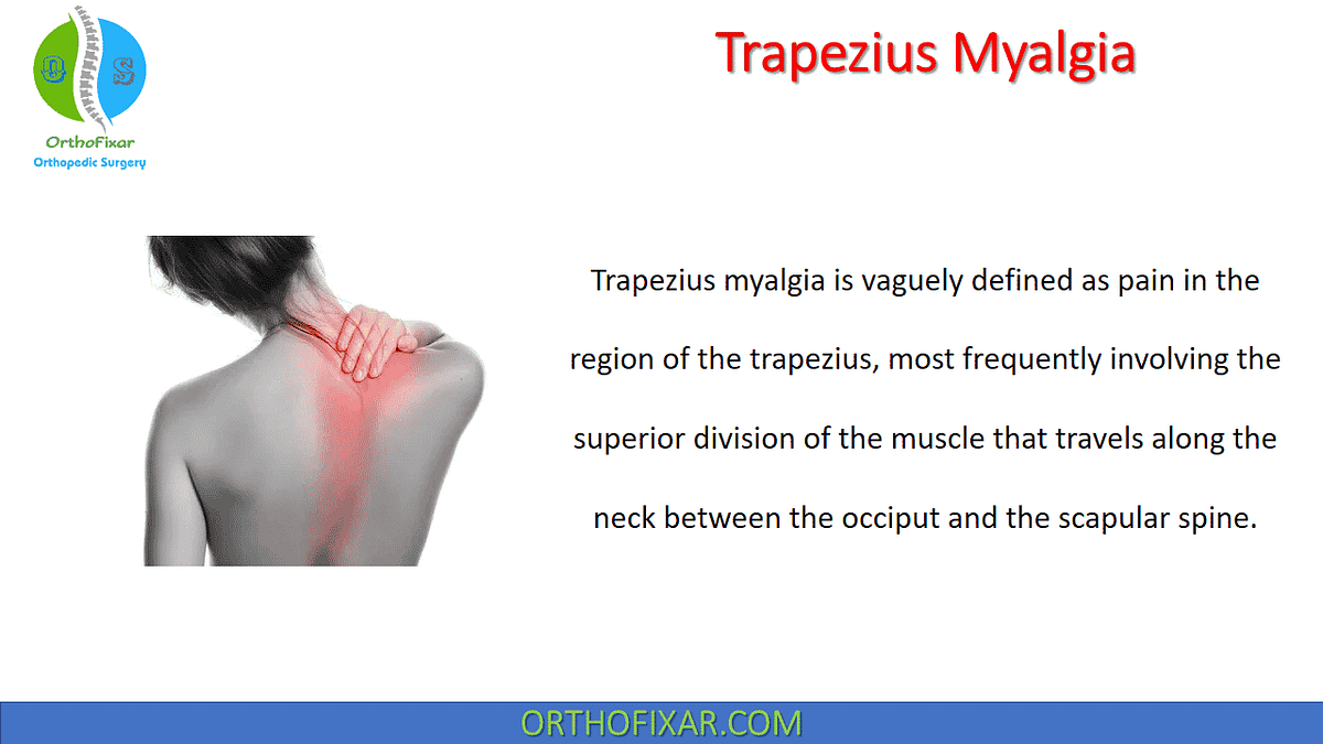 Trapezius And Neck Pain