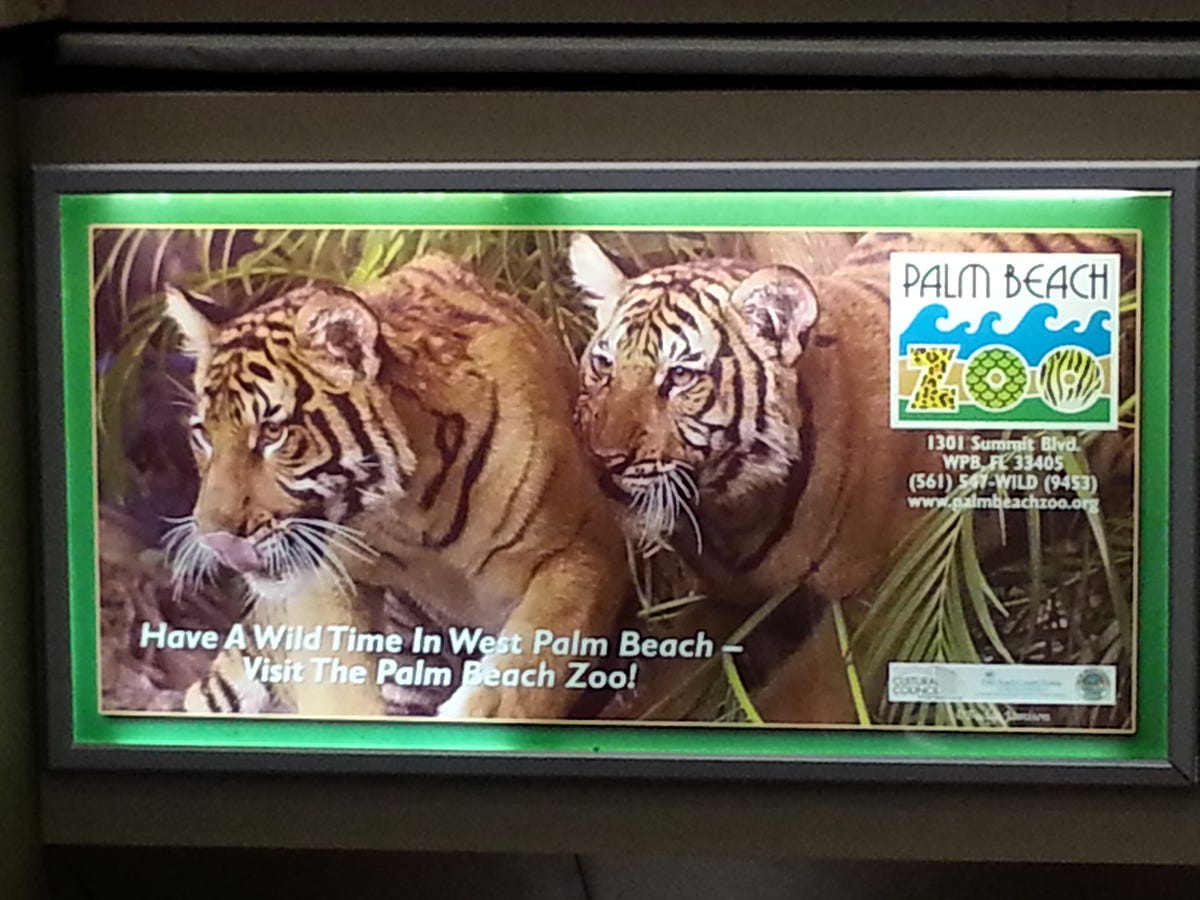 Walk on the Wild Side at the Palm Beach Zoo | by Marc Jablon, Realtor ...