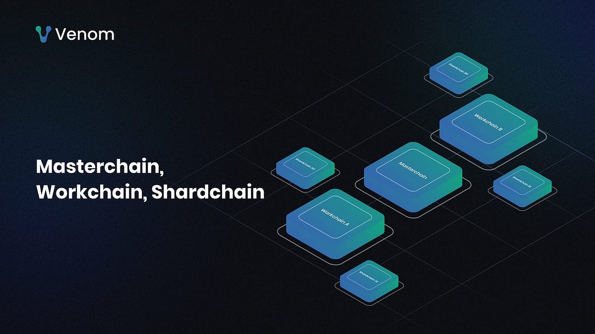 Kiến trúc Venom. Venom là một blockchain đặc biệt với… | by Venom Education | Sep, 2023 | Medium