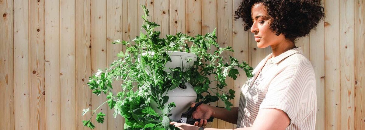 How to Cultivate the Best Influencer Partnerships based on Organic Love ...