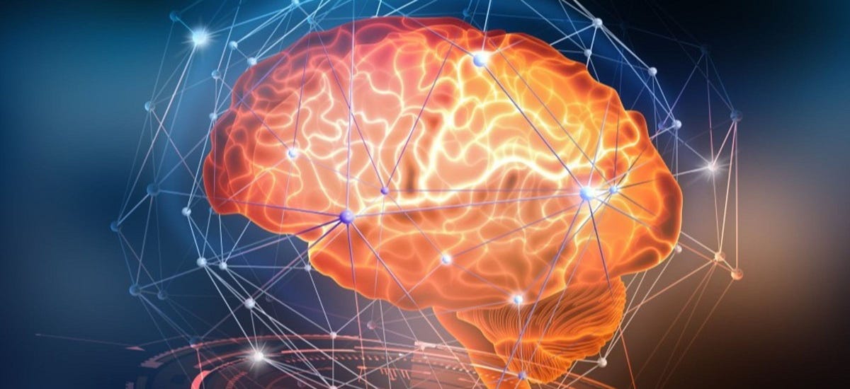 Understand the Mysteries of Your Amazing Brain | by Pradeep Bhatt ...