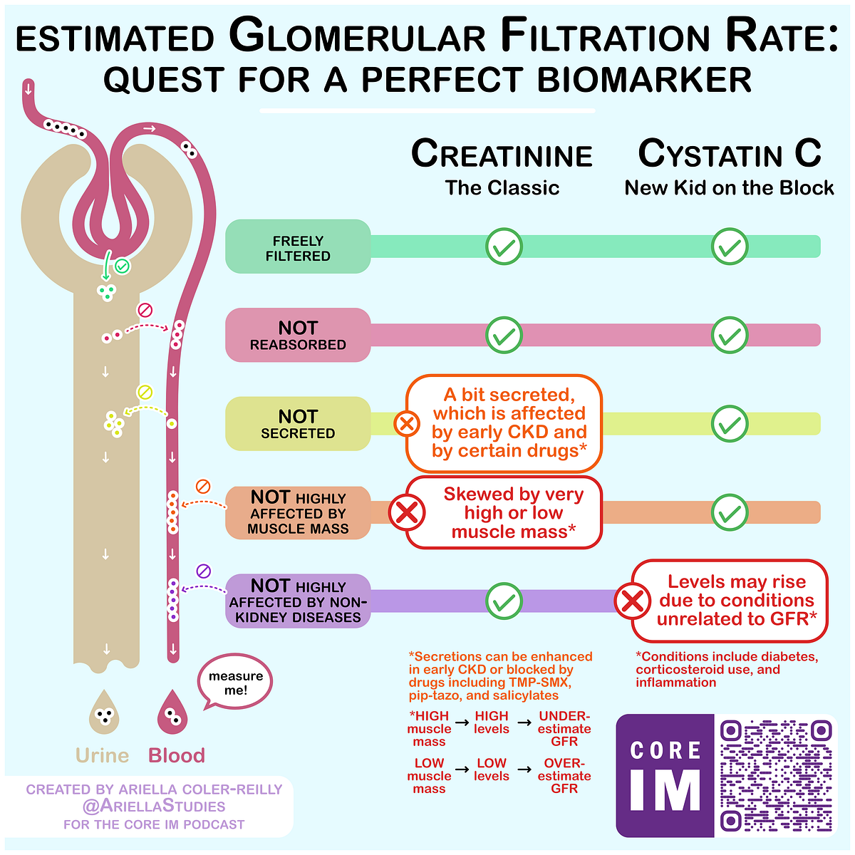 Don’t trust tGFH (CKD-EPI) test if you are a bodybuilder like me, get ...