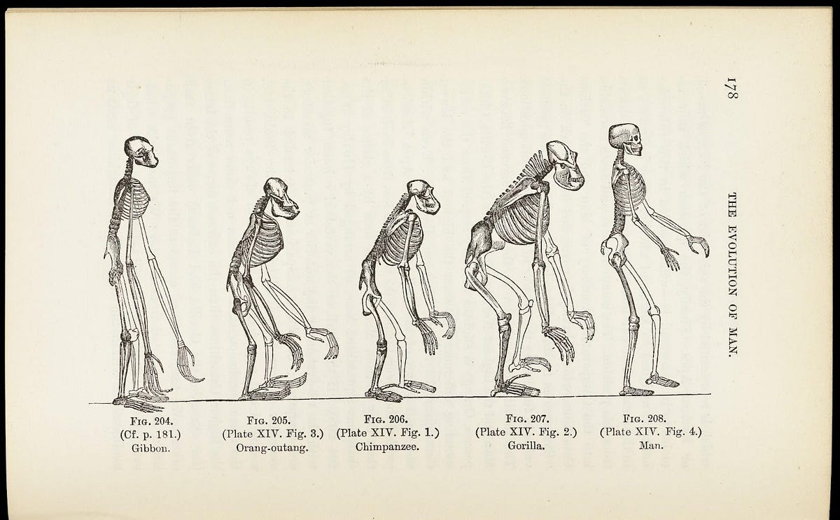 Human Evolution, Really ? Pt. 2. Evolution. What is it exactly? Have ...