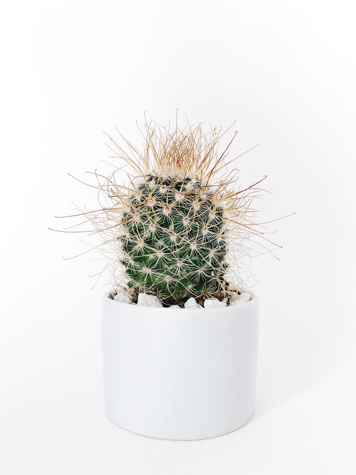 Is Your Overly Agreeable Nature a Trauma Response? | by Lena Ann | Medium
