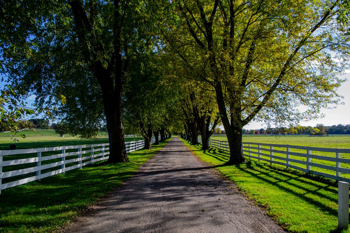 Not Just a Fly-Over State. Come and visit me! (But not really) | by ...