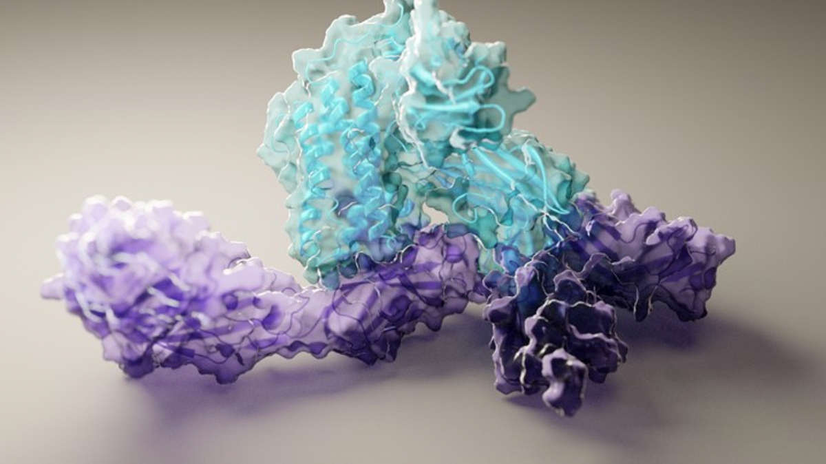 Impacts of the Newest Artificial Intelligence for Protein Folding | by ...