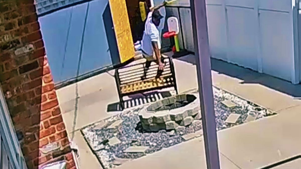 Husband vs a Wasp Nest | Doorbell Camera Video - Doorbell Camera Video ...