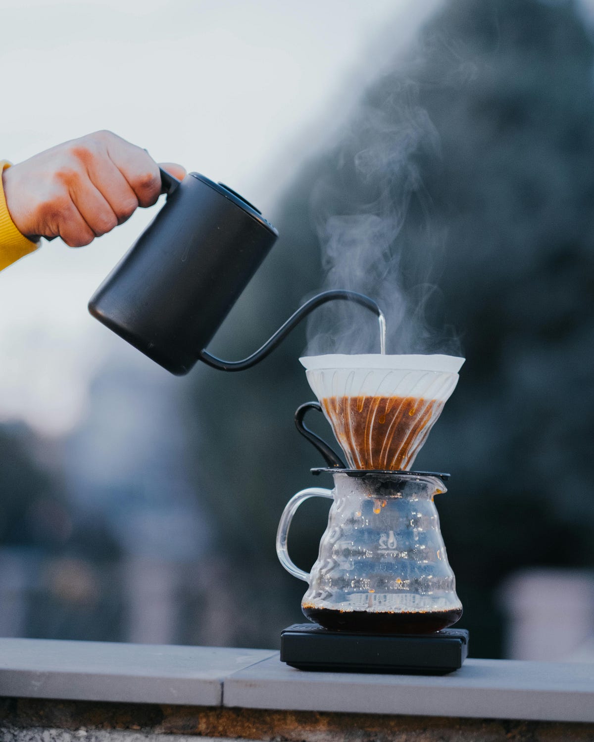 Mastering the Art of Brewing with a V60 Dripper: A Comprehensive Guide to Perfect Coffee at Home ...