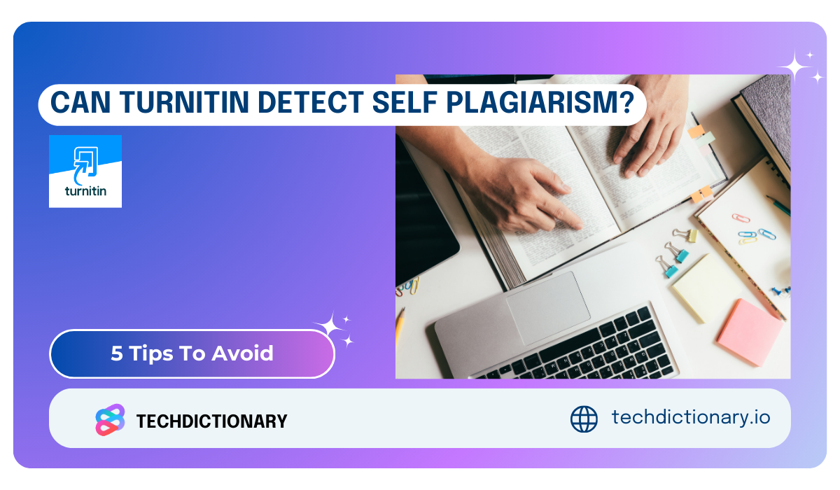 I Had to Look Up “Self-Plagiarism.” Here’s What I Found. | by Zoran ...