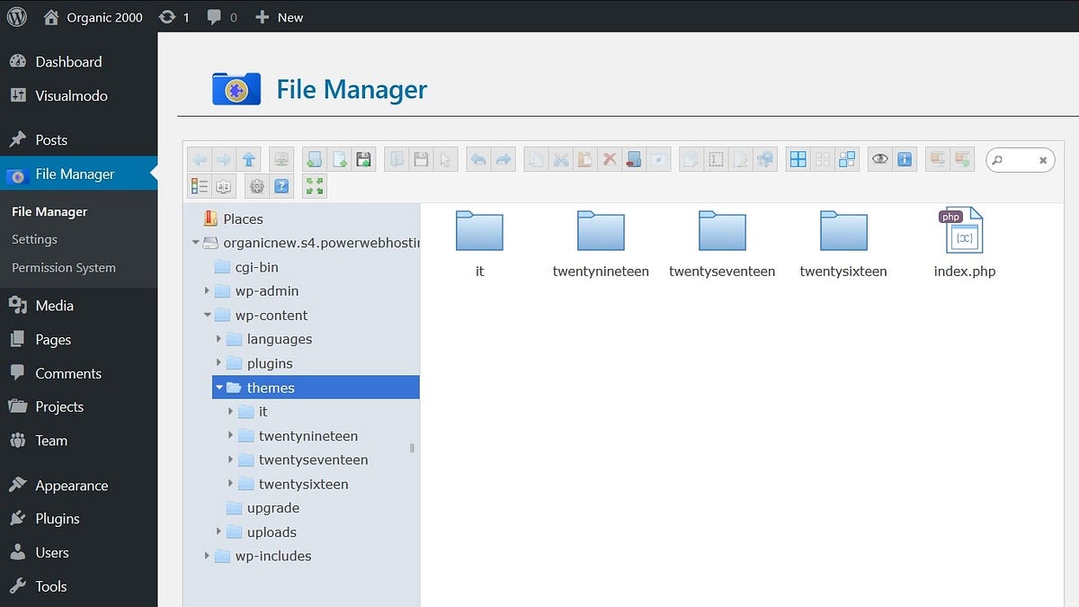 How To Install WordPress Themes Via File Manager FTP Without Host Access | by Visualmodo ...