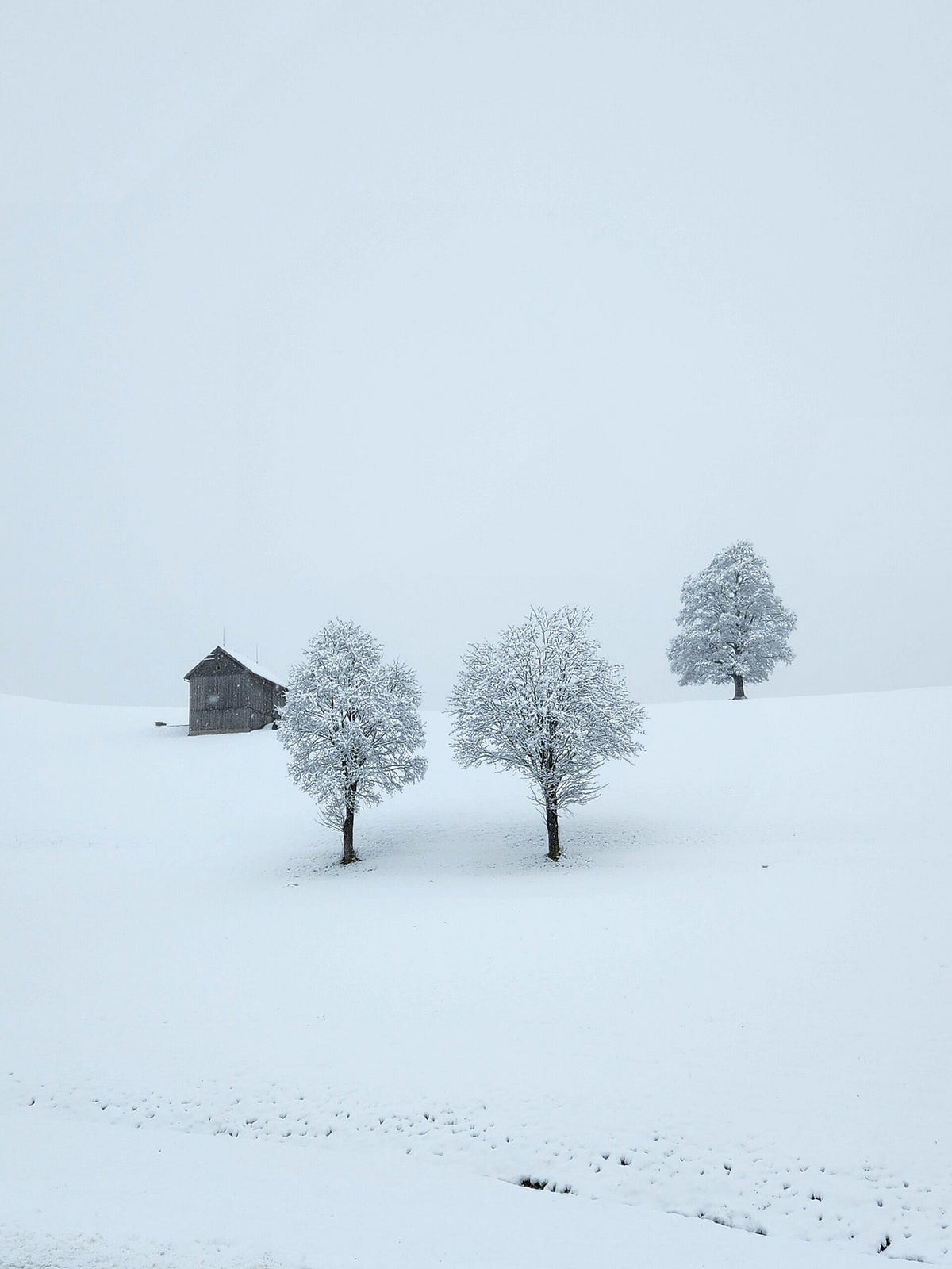 The Beauty of Being Lost. Sometimes I see so many things in life… | by ...