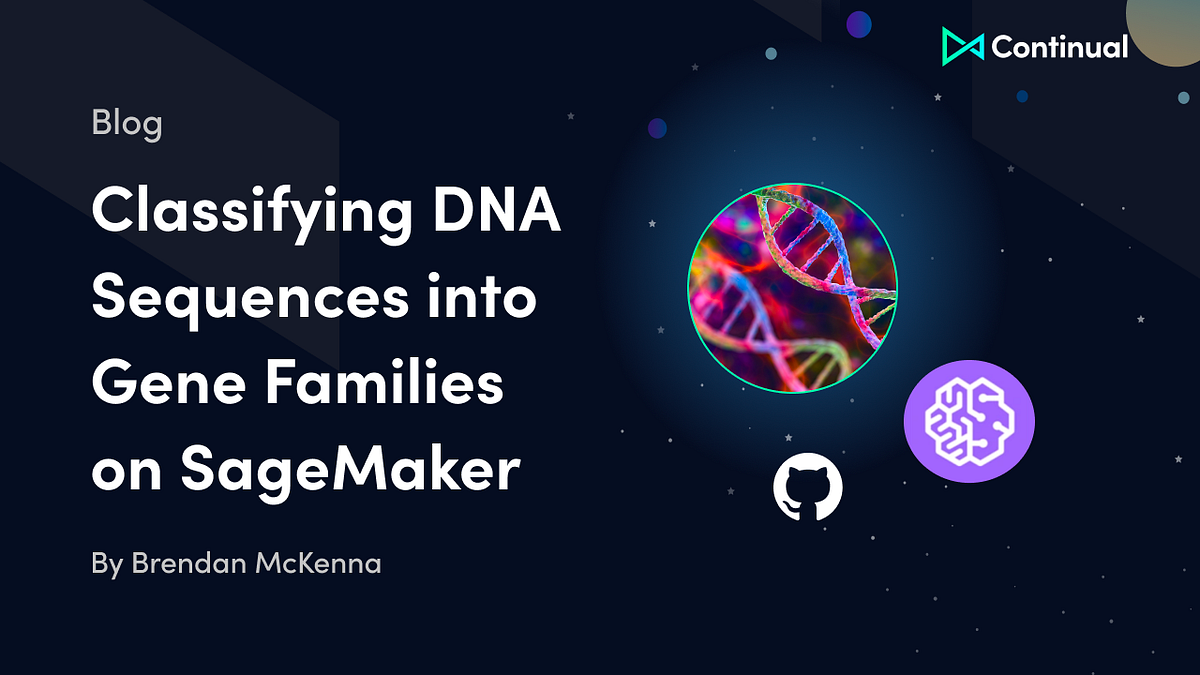 Classifying DNA Sequences into Gene Families on SageMaker | by Brendan McKenna | Medium