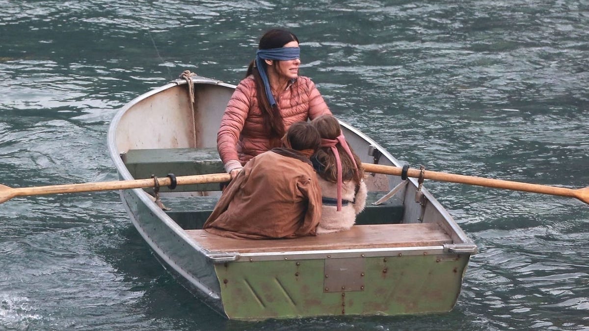 Movie Review: Bird Box. Rating: 1 and 1/2 Stars | by J. King | Casual ...