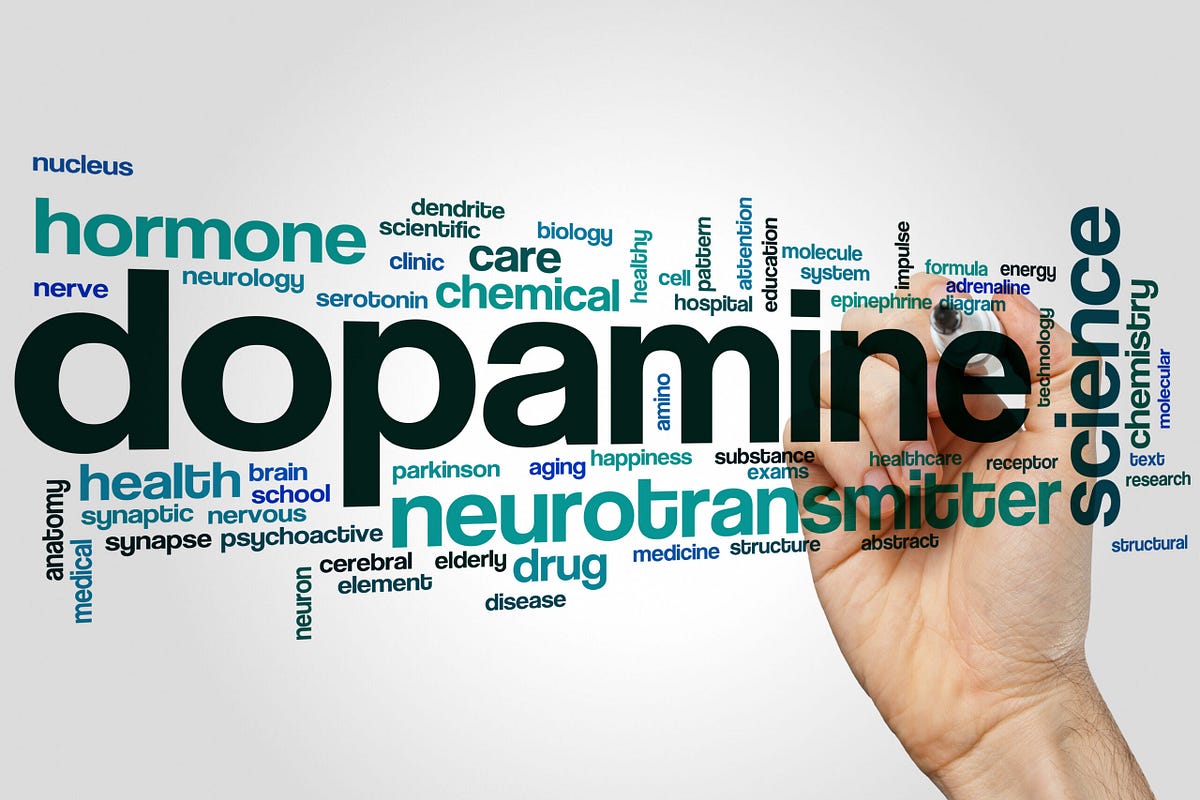 Dopamine Loading: Balance it out. Ever wondered why studying or working ...