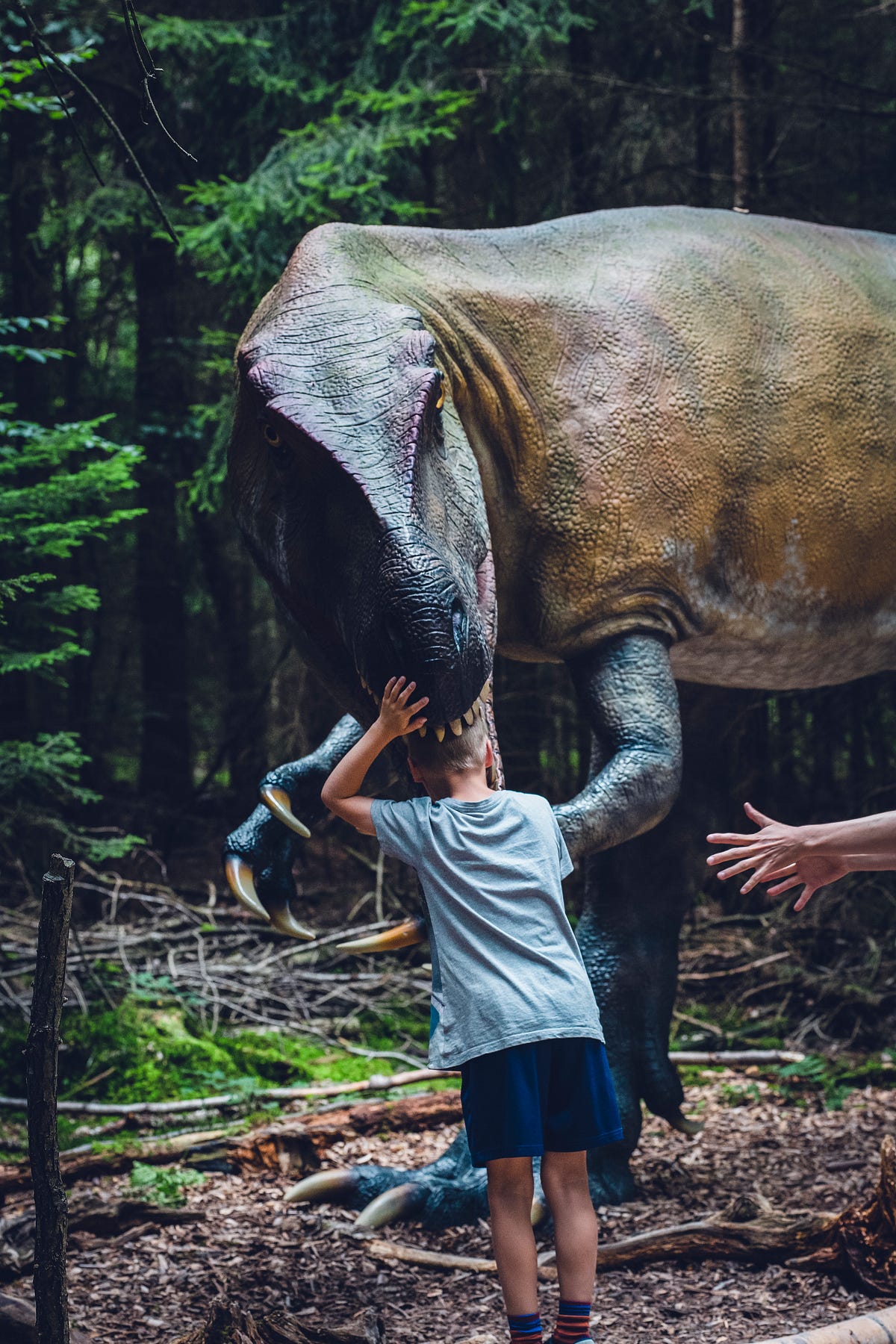 Docusaurus: Create your project documentation simply and efficiently! | by Josue Luzardo Gebrim ...