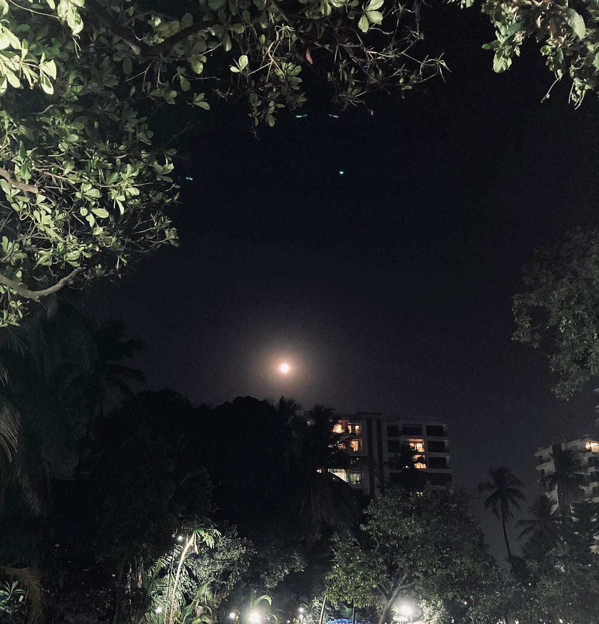 Ways of cosmos… - Maitri for all - Medium