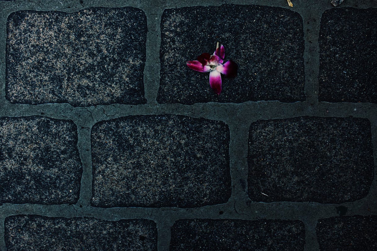 The Smashed Flower. What’s the story? | by A Rustic Mind (Manali Desai ...