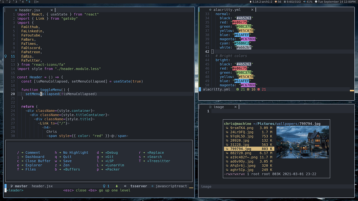 A List of All My Main Neovim Plugins | by Michael Bao | Unixification | Medium
